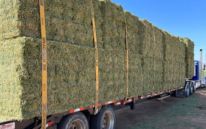 Double M Feed and Supply | Colorado City, TX | Serving Your Hay, Feed ...